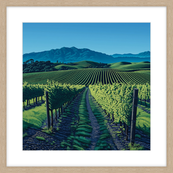 Hunter Valley – Steve Ballantyne Art